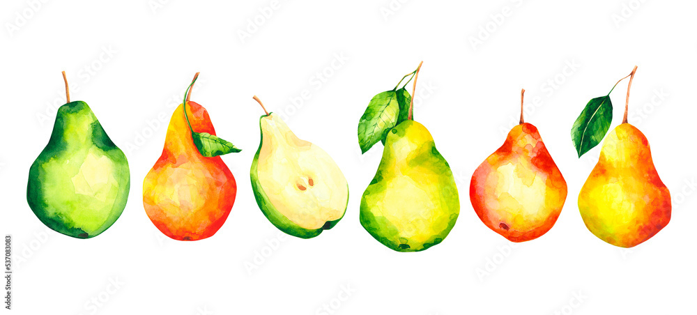 Watercolor pears and leaves clipart set. Collection of pear fruit clip ...
