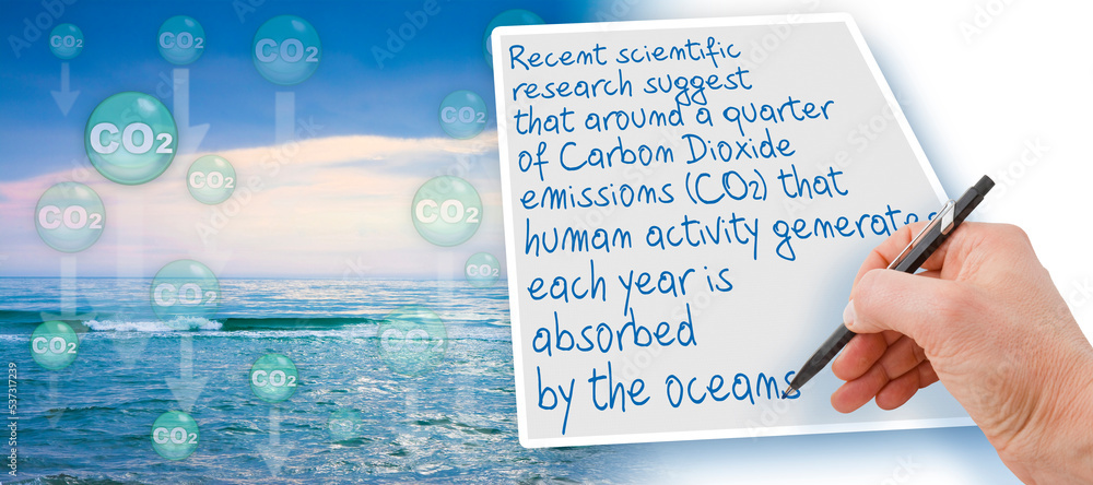 Recent scientific research shows that 1/4 of anthropogenic CO2 Carbon ...