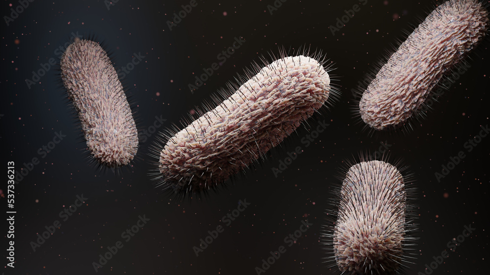 Stock-Illustration „Peritrichous Bacteria with lot of flagellum ...