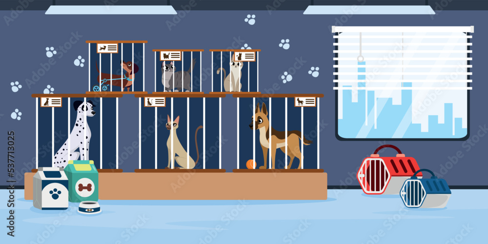 Vector illustration of modern interior animal shelter. Cartoon interior ...
