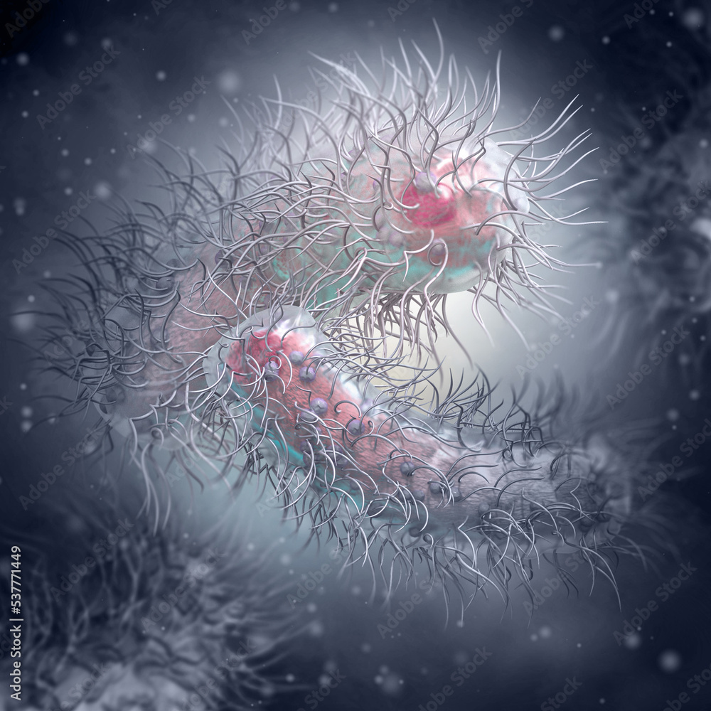 Stock-Illustration „Medical background, Enterobacterales bacterium including pathogens ...