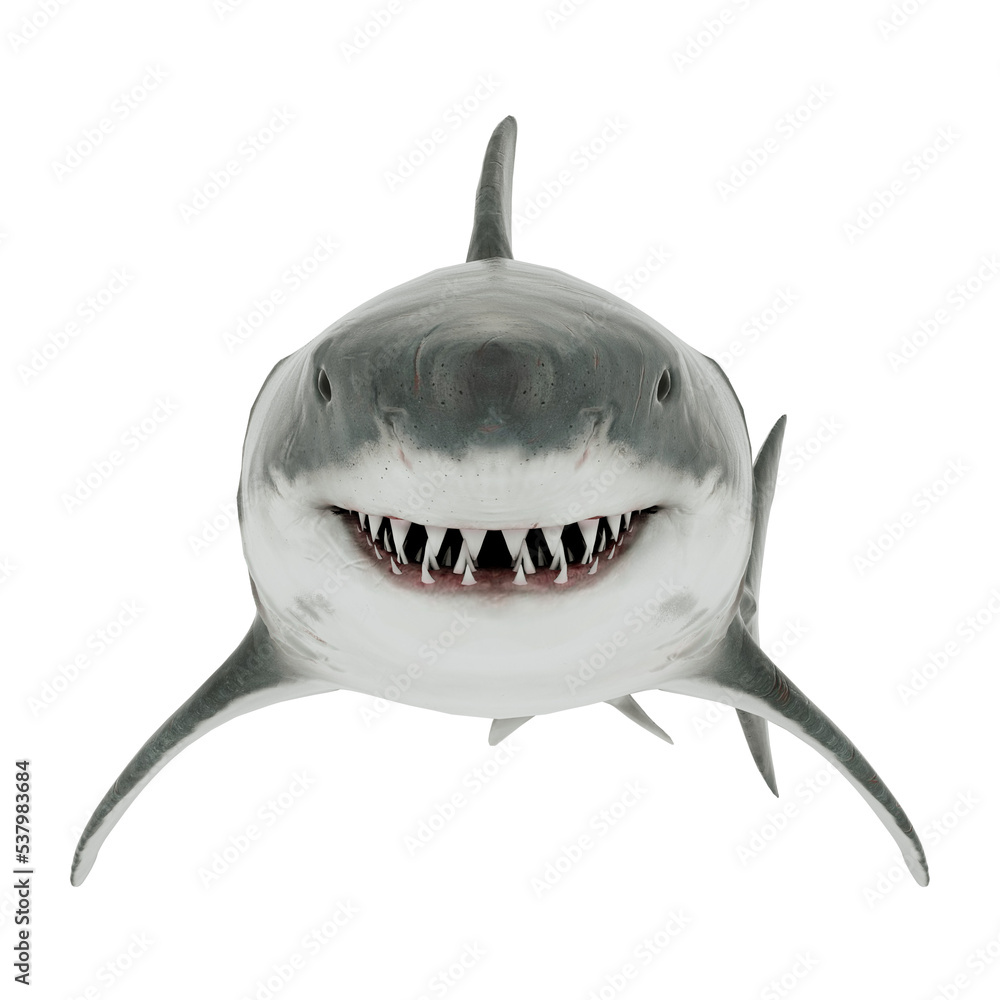 Great White Shark Isolated transparent. Front view 3D Rendering Stock ...