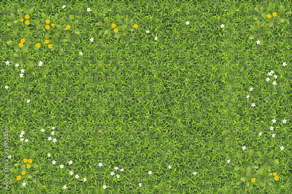 Summer field with grass and flowers. Top view. Abstract green grass ...