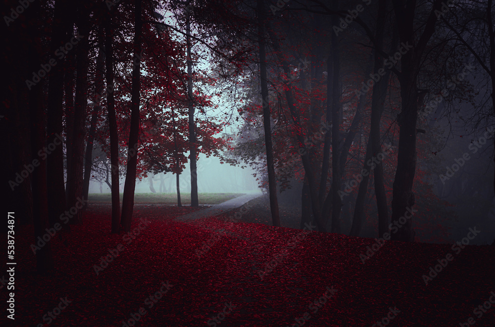 Mysterious road. Fairy Forest. Mystical atmosphere. Paranormal another ...
