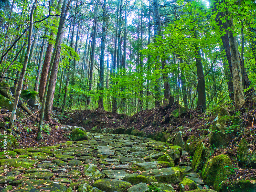Nakasendo,famous trail near Magome,Gifu in Japan. Ancient paths walked ...