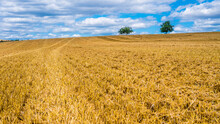 Stubble Field Free Stock Photo - Public Domain Pictures