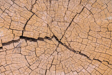 Hard Ground Surface Free Stock Photo - Public Domain Pictures