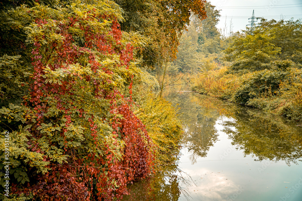 Foto de Stock rzeka Opawa w Czechach jesienią, kolory jesieni nad rzeką ...