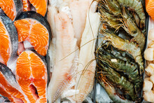 Deli Fish Products On Display Free Stock Photo - Public Domain Pictures
