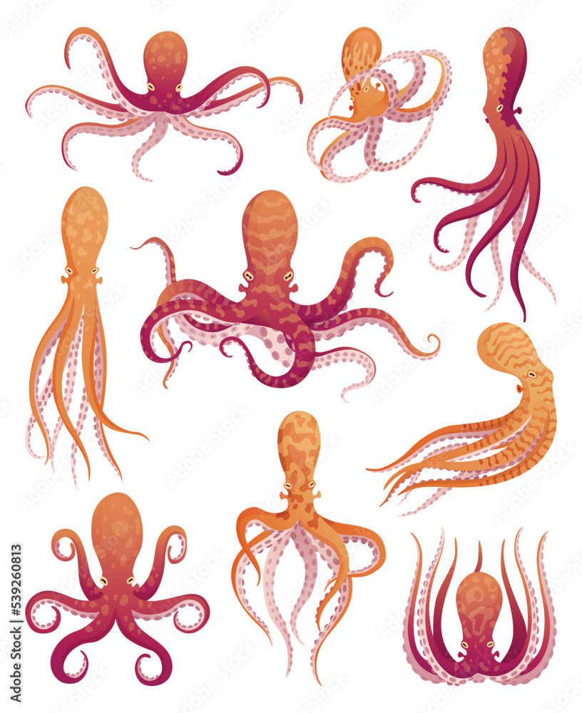 Octopus cartoon flat characters set. Aquatic fauna icons. Animals ...