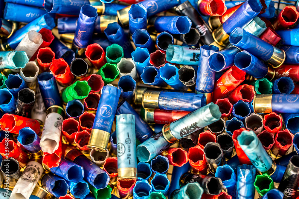 Shotgun shells in abundance as a background. Pile of cartridges close ...
