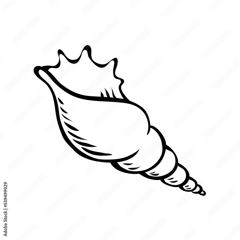Sea shell. Marine underwater twisted shell. Undersea mollusc ...