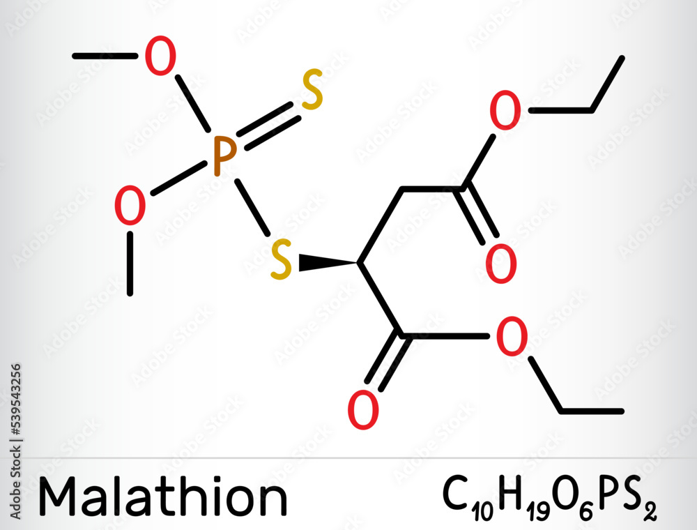 Malathion molecule. It is parasympathomimetic organophosphate used as ...