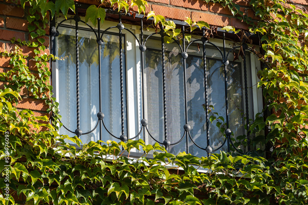 Boston ivy leaves as decoration and decorative element of building ...