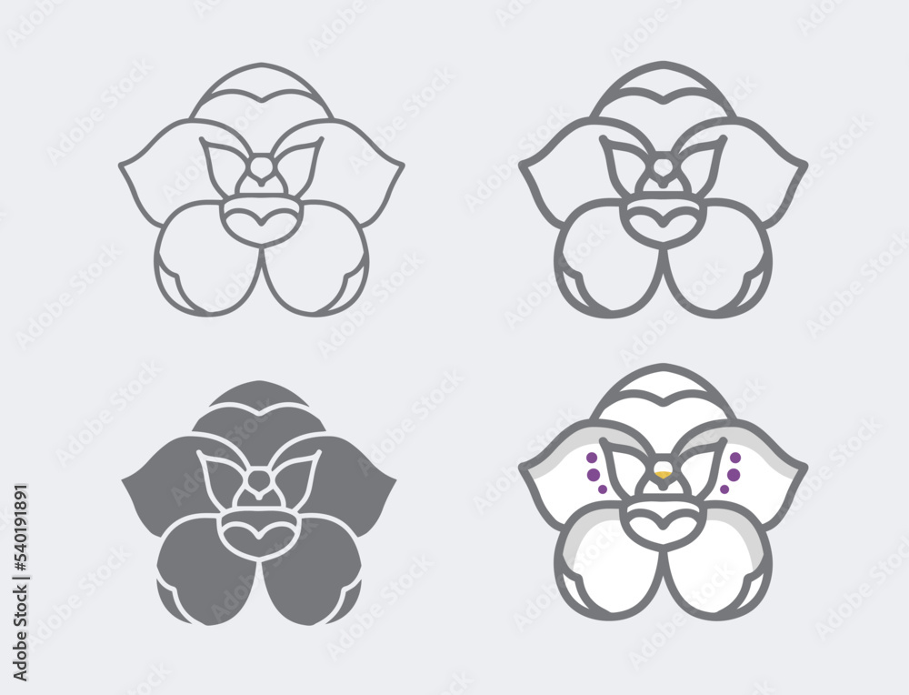 VECTORS. Editable icons of white orchids known as Holy Ghost orchids ...