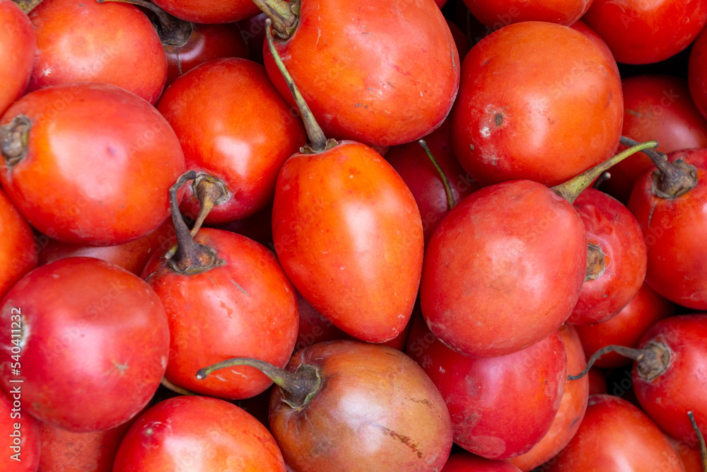 The tamarillo (Solanum betaceum) is an egg-shaped edible fruit. It is ...