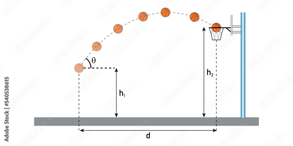 Basketball projectile motion diagram. parabolic curve. scientific ...