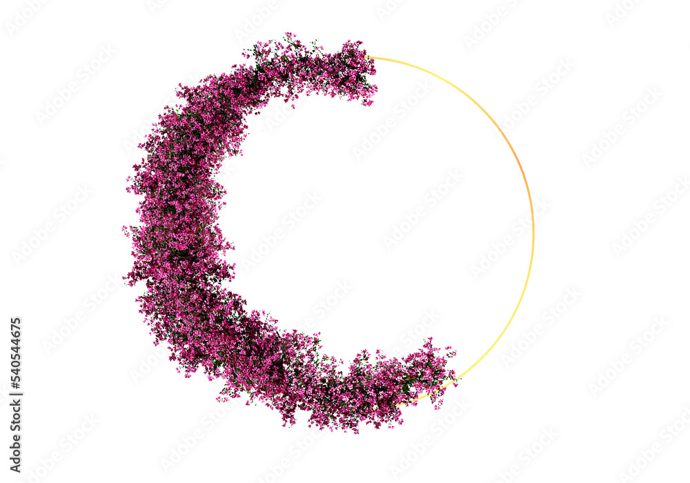 Flower foliage floral circle overlays, golden ring, backdrop overlays ...