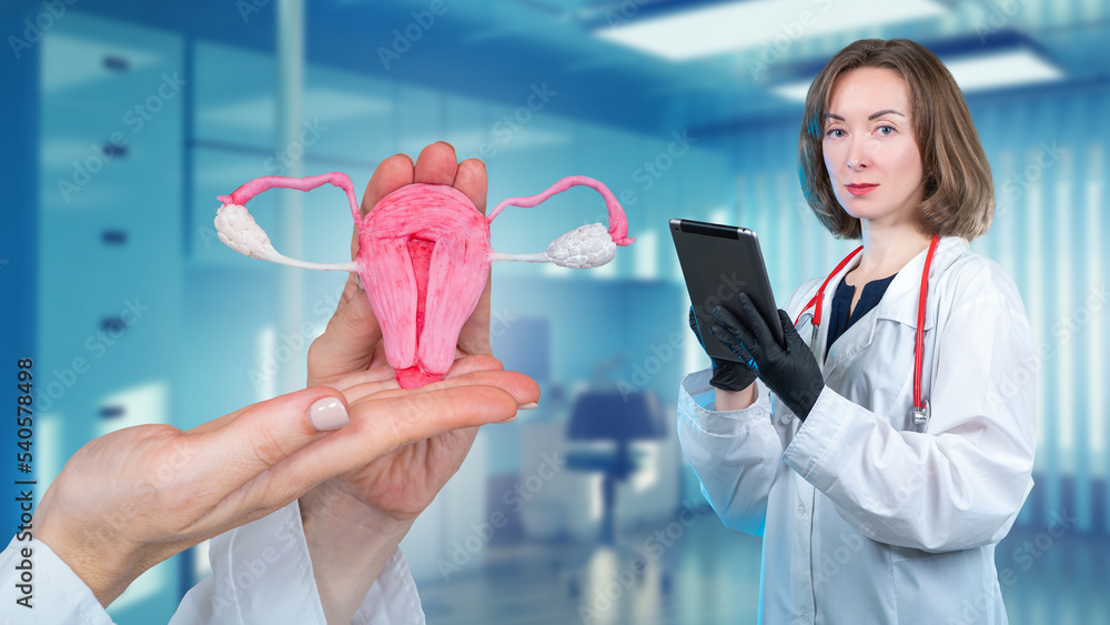 Uterus and ovaries. Gynecology medicine. Woman gynecologist. Doctor ...