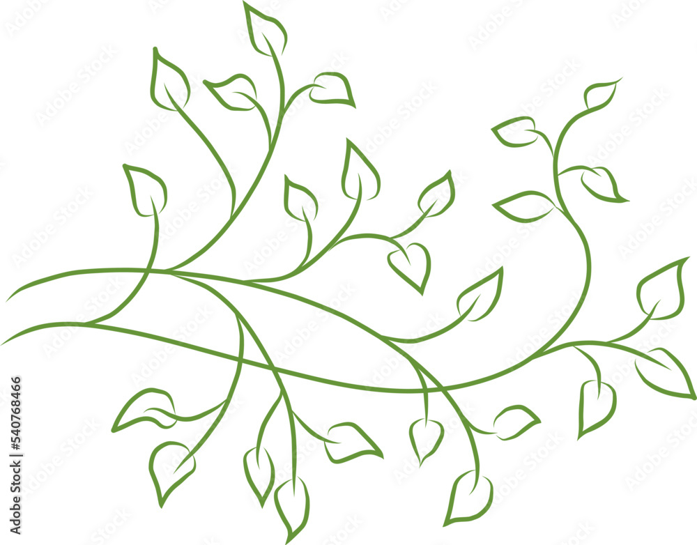Floral design of ivy or vine leaves, wedding border design png, green ...