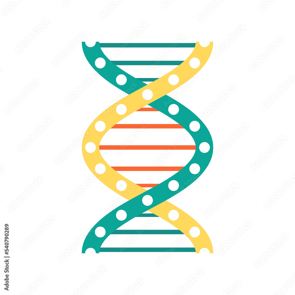 DNA molecule twisted spiral, cartoon helix, genetic code. Vector biotech formula helical ...