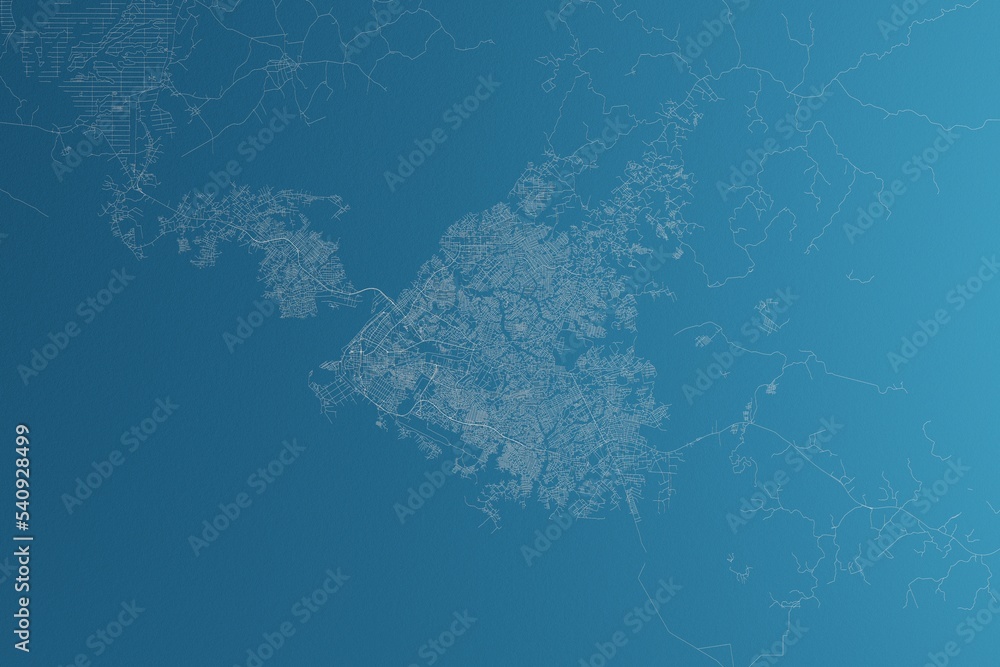 Map of the streets of Douala (Cameroon) made with white lines on blue ...