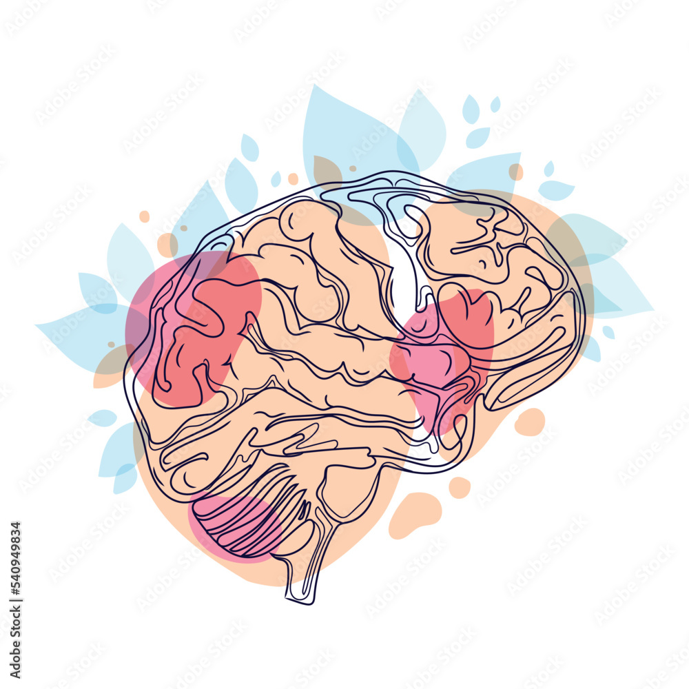 Human brain Minimal art line drawing vector illustration.Brain with ...