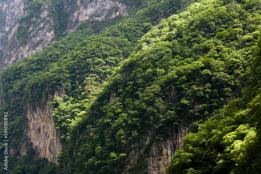 Lush limestone cliffs rise above the Grijalva River as it winds through ...