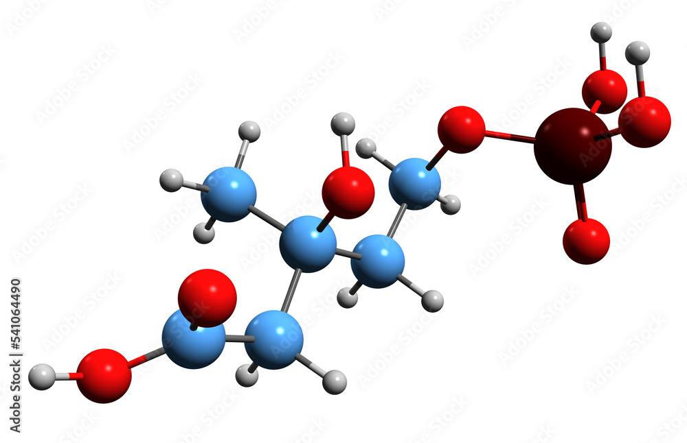 3D image of Phosphomevalonic acid skeletal formula - molecular chemical ...