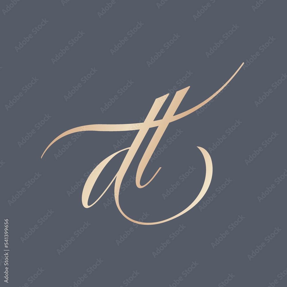 Vector de Stock DT monogram logo.Calligraphic signature icon.Script ...