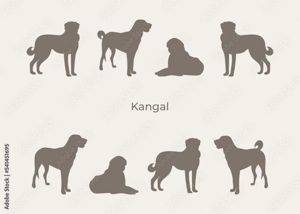 Kangal Shepherd silhouettes. Cute kangal dogs characters in various ...