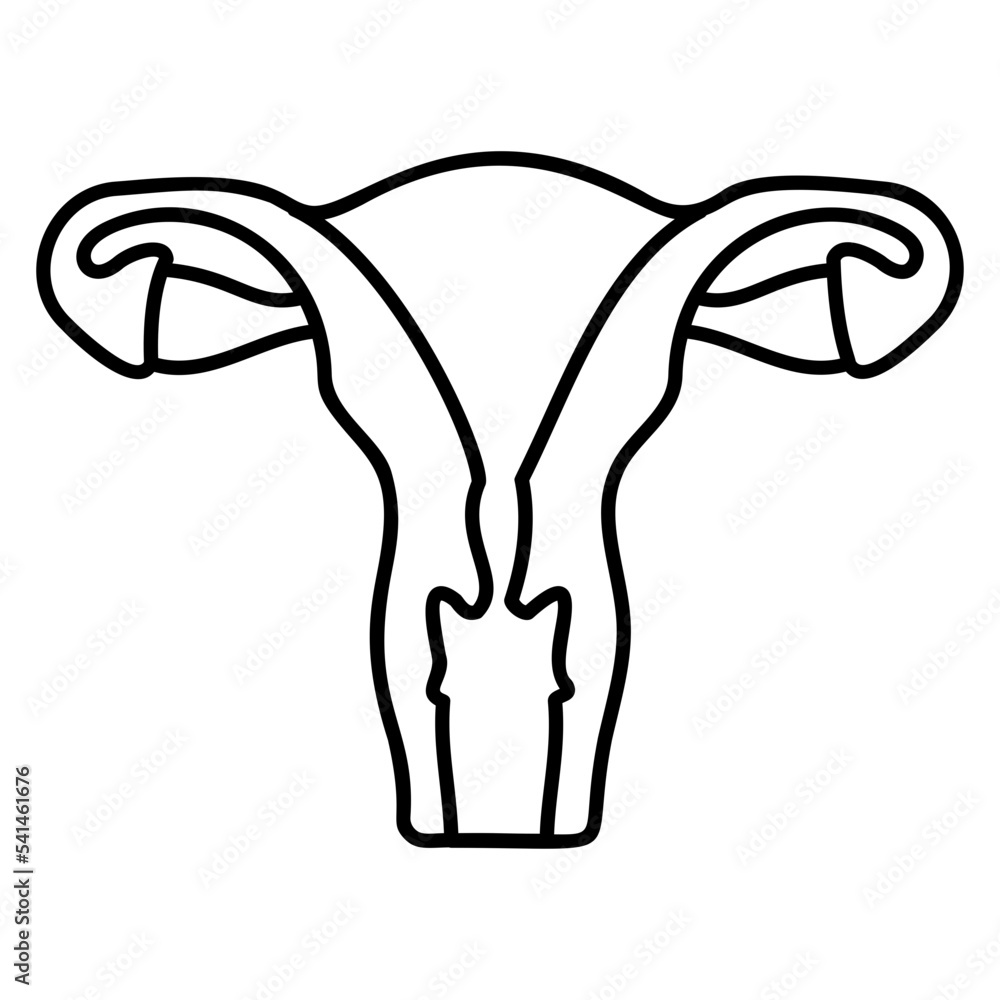 Female uterus with ovaries Concept, Women reproductive system vector ...