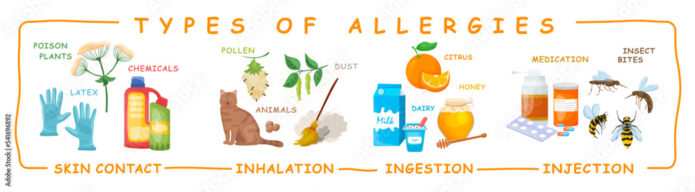 Types of allergies. Medical infographic. Vector illustration Stock ...