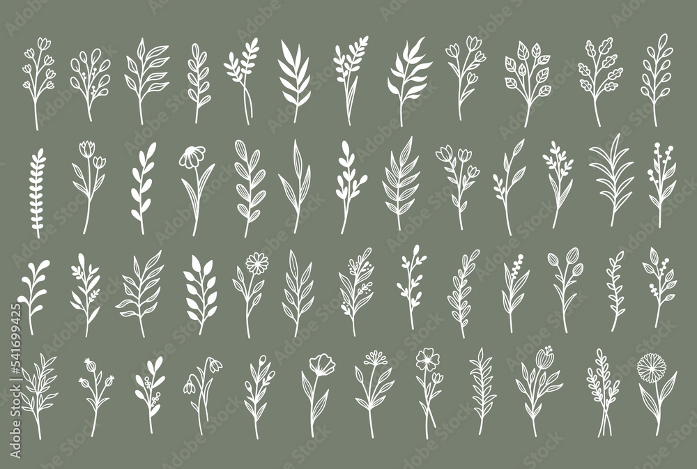Vector set template for laser cutting and Plotter. Set of branches with ...