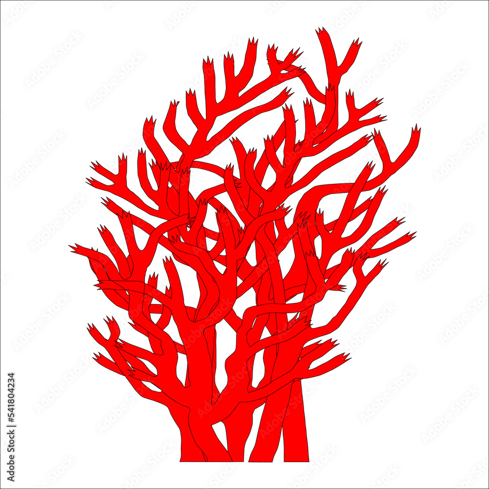 Algas marinas rojas nombre cientifico Kappaphycus Stock Vector | Adobe ...