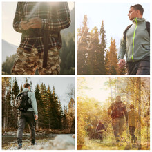 Nature Walk Collage Free Stock Photo - Public Domain Pictures
