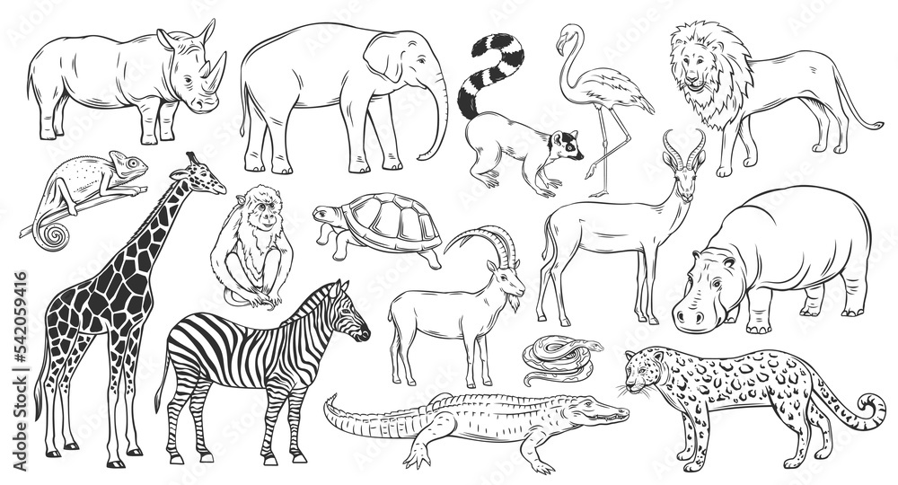 African animals outline icons set vector illustration. Line hand drawn ...