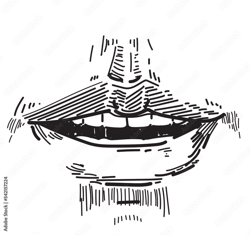 mouth drawing anatomy smile teeth talking anatomy face line draw ...