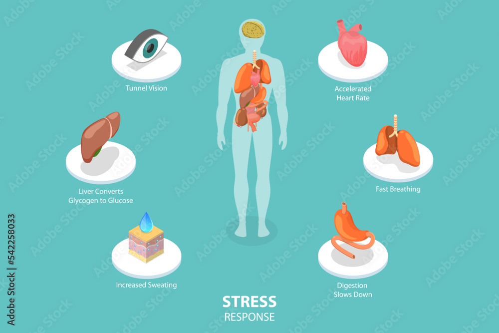 3D Isometric Flat Vector Conceptual Illustration of Stress Response ...