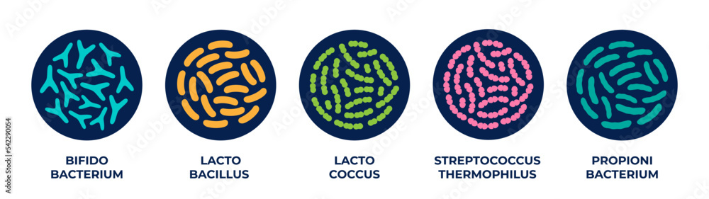 Probiotics in a circle. Good bacteria and microorganisms. Bifidobacterium, lactobacillus ...