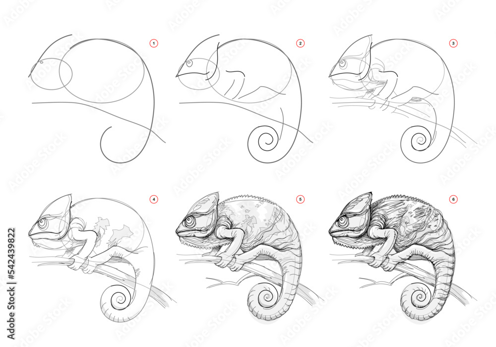 Image vectorielle Stock Page shows how to learn to draw sketch of ...