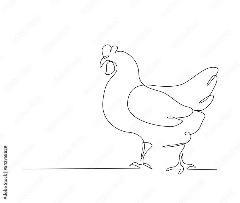 Continuous one line drawing of hen chicken. Abstract female chicken ...