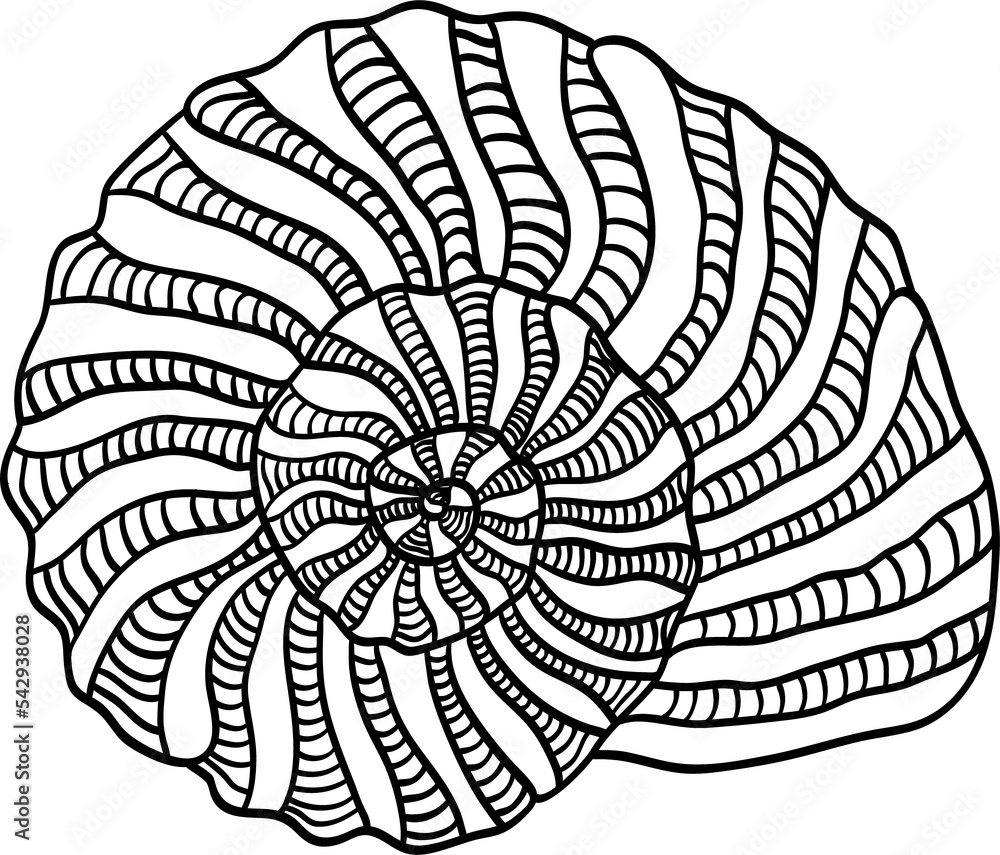 Cartoon clipart seashell doodle Stock Illustration | Adobe Stock