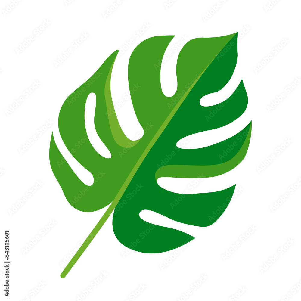 monstera leaf tropical palm leaves flat vector illustration logo icon clipart Stock Vector ...