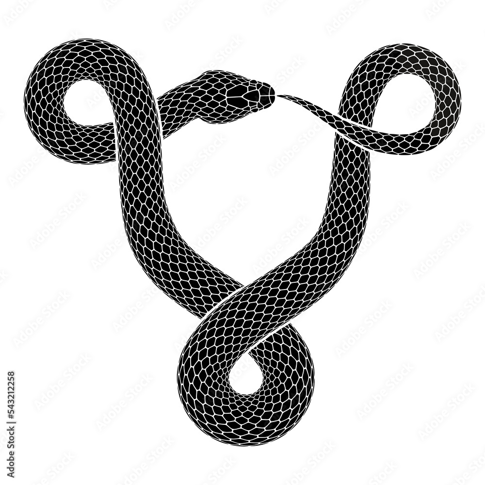 Vector tattoo design of snake bites its tail in the form of a triquetra ...