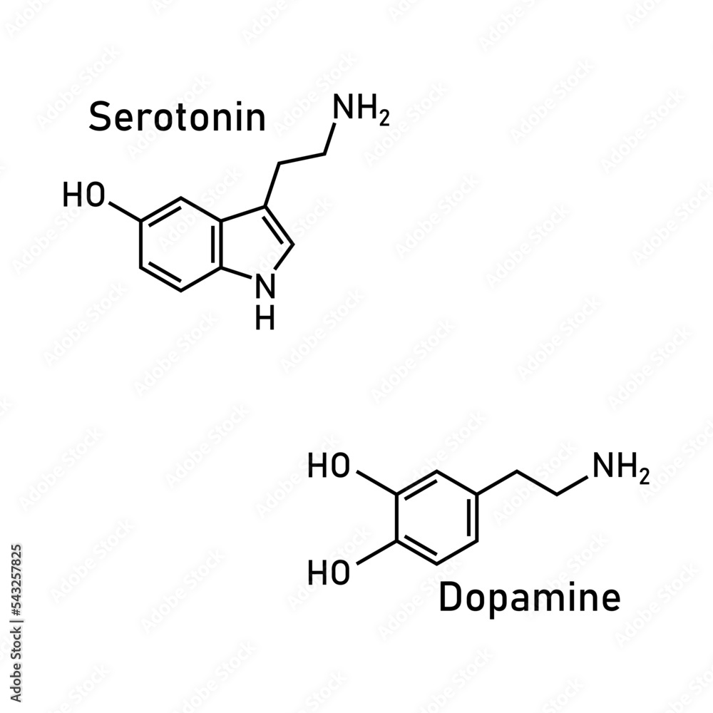 Dopamine and serotonin molecular structure. Scientific vector ...