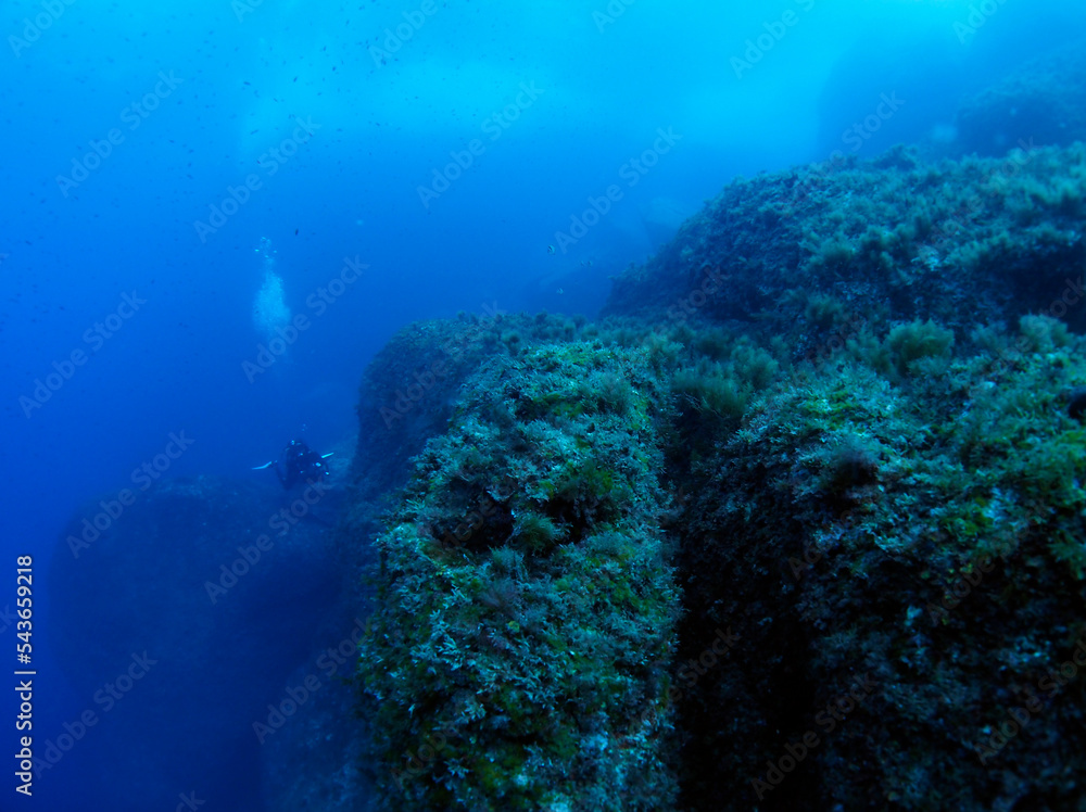 Scuba Diving and Underwater Photography Malta Gozo Comino - Wrecks ...