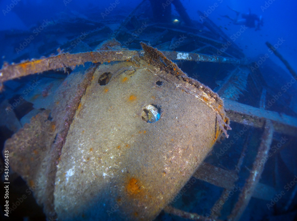 Scuba Diving and Underwater Photography Malta - Wrecks Reefs Marine ...