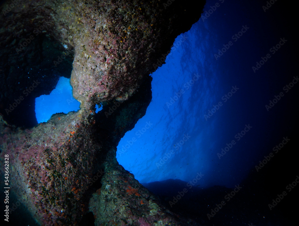 Scuba Diving and Underwater Photography Malta - Wrecks Reefs Marine ...