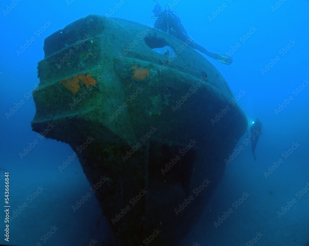Scuba Diving and Underwater Photography Malta - Wrecks Reefs Marine ...